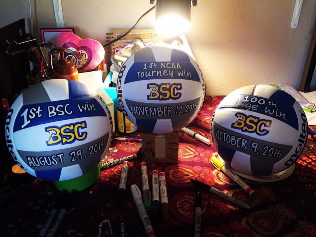 Hand Painted Customizable Volleyball - Etsy