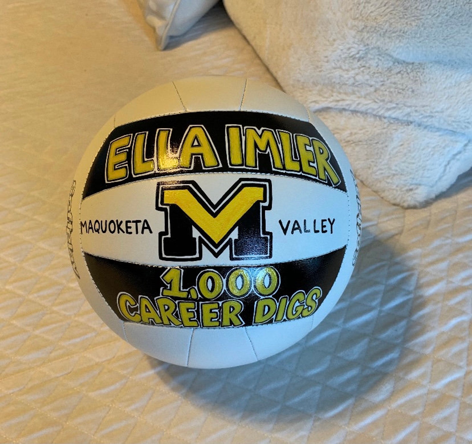 Hand Painted Customizable Volleyball - Etsy
