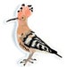 Eurasian Hoopoe Embroidered Patch, Realistic Bird Iron on Patch ...