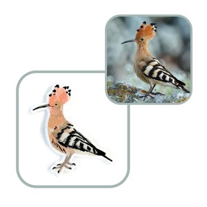 Eurasian Hoopoe Embroidered Patch, Realistic Bird Iron on Patch ...