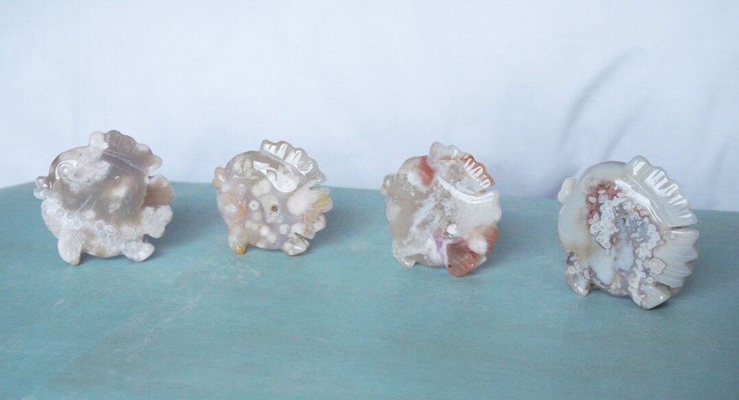 Flower Agate Fish Crystal Gemstones - Etsy