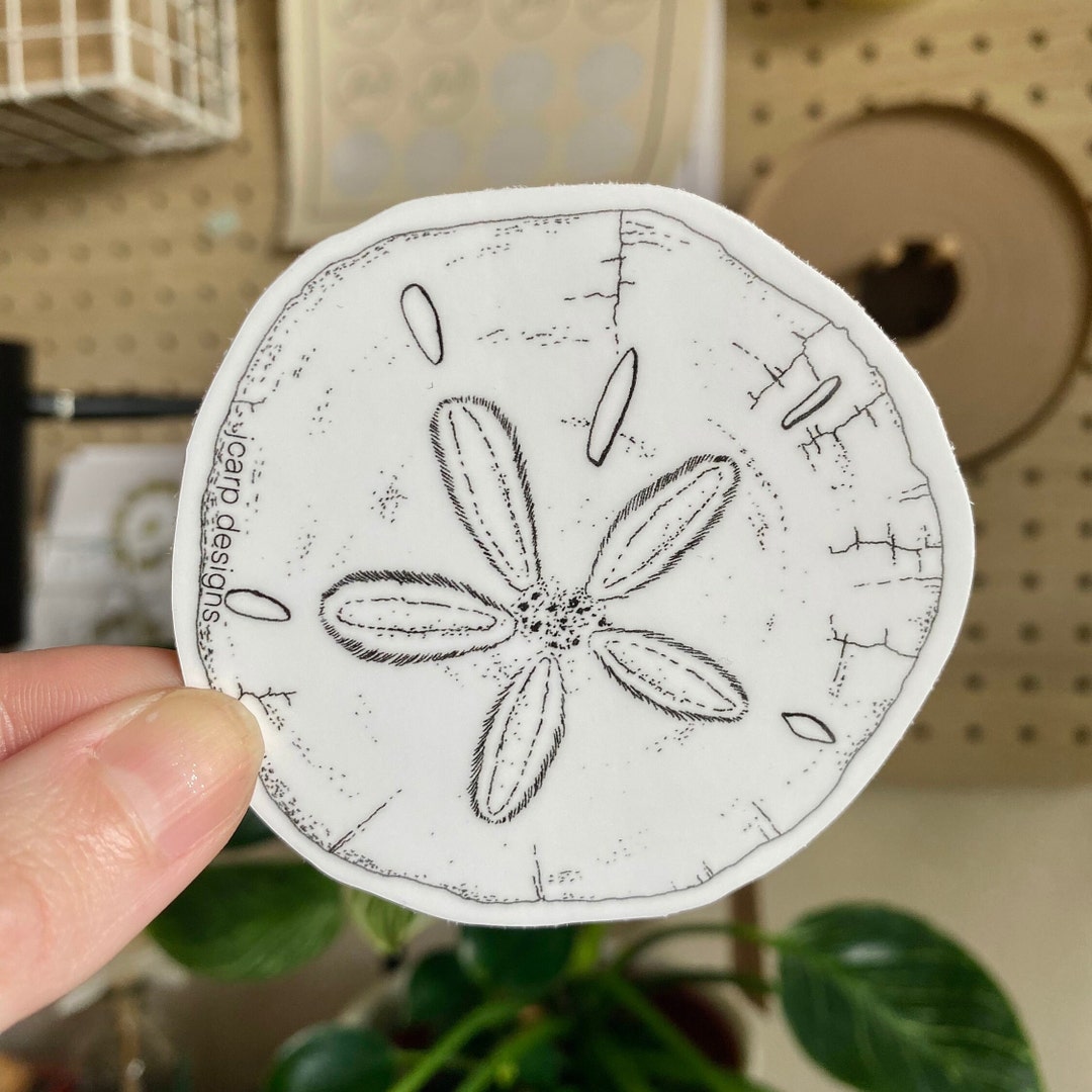 Vinyl Sand Dollar Sticker, Minimal Beach Ink Line Drawing, Waterproof ...