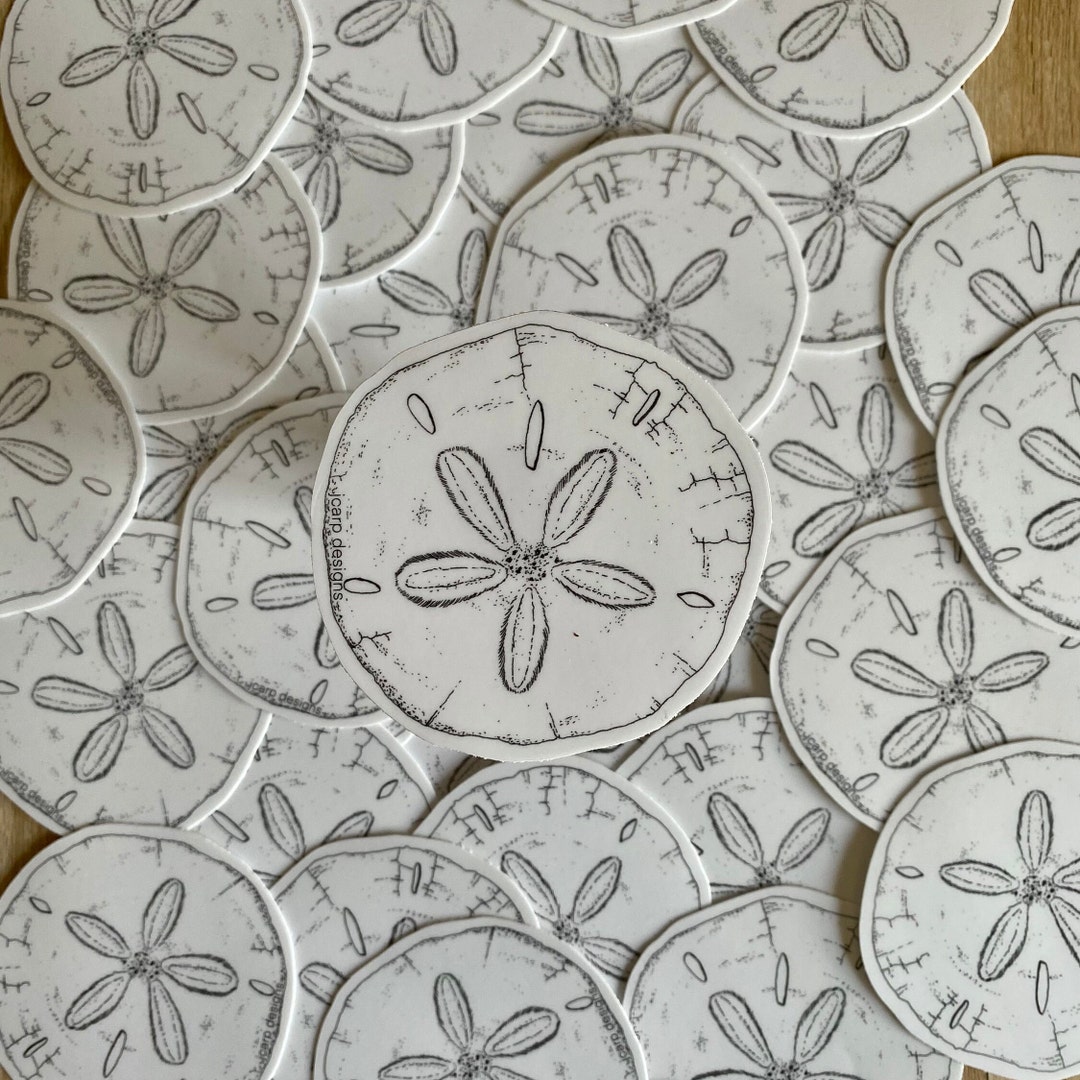 Vinyl Sand Dollar Sticker, Minimal Beach Ink Line Drawing, Waterproof ...