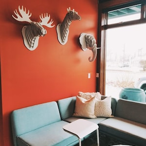 3 Cardboard Animal Head Templates - Etsy