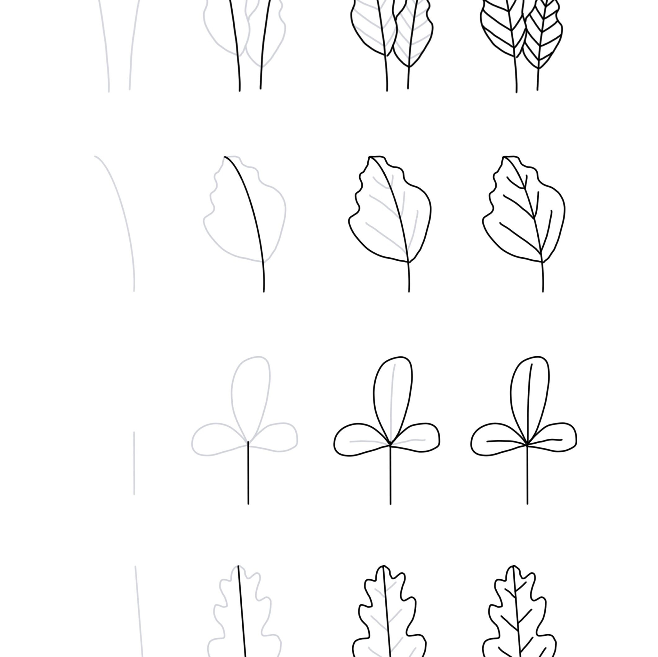 Line Art Guide for Beginners / Drawing Simple Botanical Doodles / PDF ...