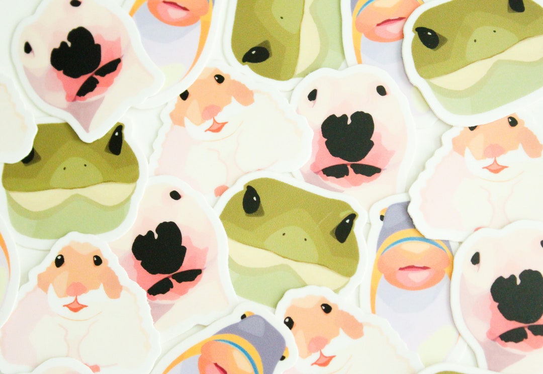 Staring Memes Sticker Pack - Etsy