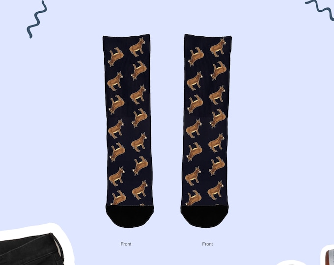 Dolphin Socks, Cute Dolphin Socks, Dolphin Socks, Dolphin Ocean Lover Socks, Cute Dolphin Socks ...