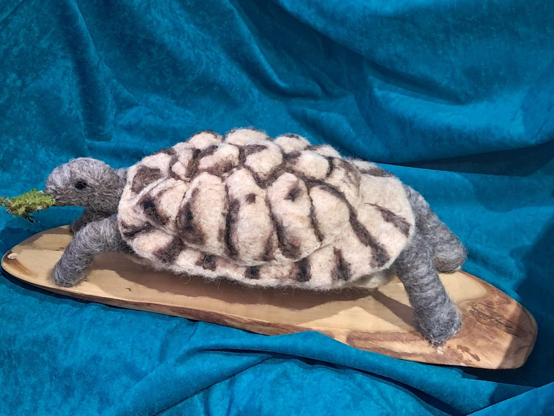 Hand Felted Tortoise Sculpture Mounted on Olive Wood Base - Etsy
