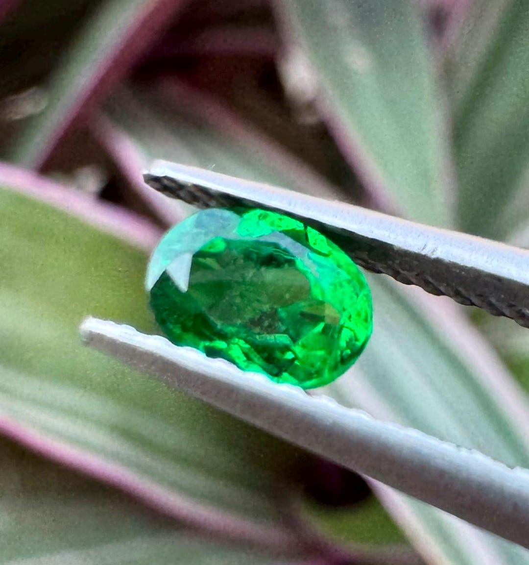 Green Tsavorite Cut Stone, 0.45 Crt, 5x4x2 MM. Loose Gemstone Tsavorite Garnet Cut Stone Oval ...