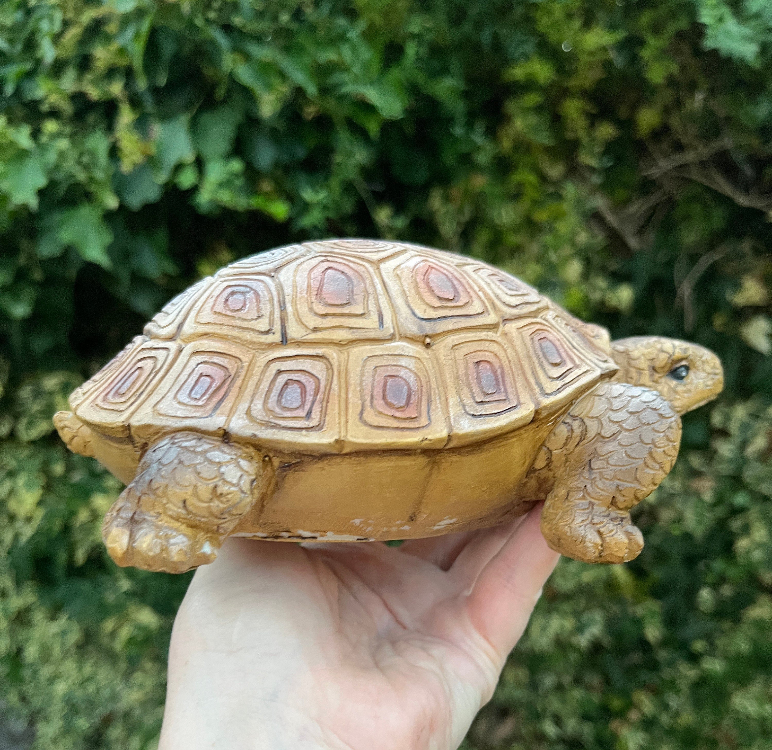 Tortoise Latex Mould for Plaster or Concrete Garden or Home - Etsy