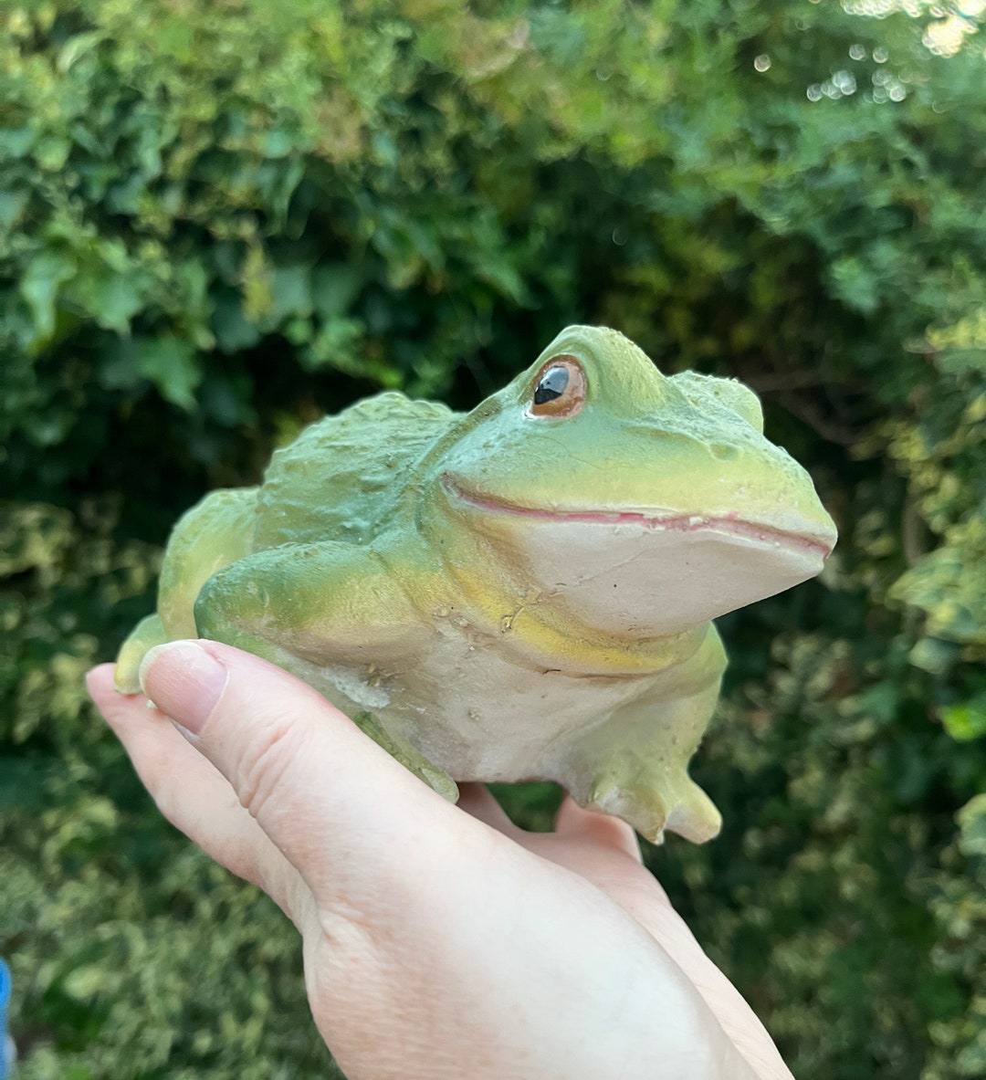 Life-like Frog Latex Mold: Concrete or Plaster Garden Ornament - Etsy