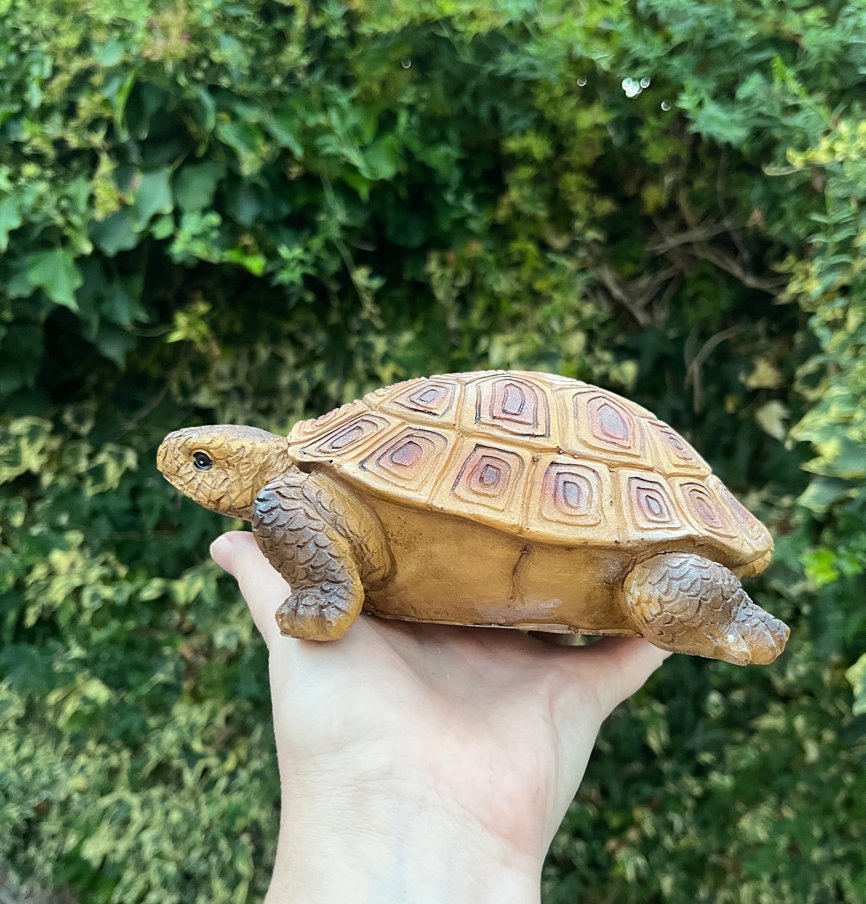 Tortoise Latex Mould for Plaster or Concrete Garden or Home - Etsy
