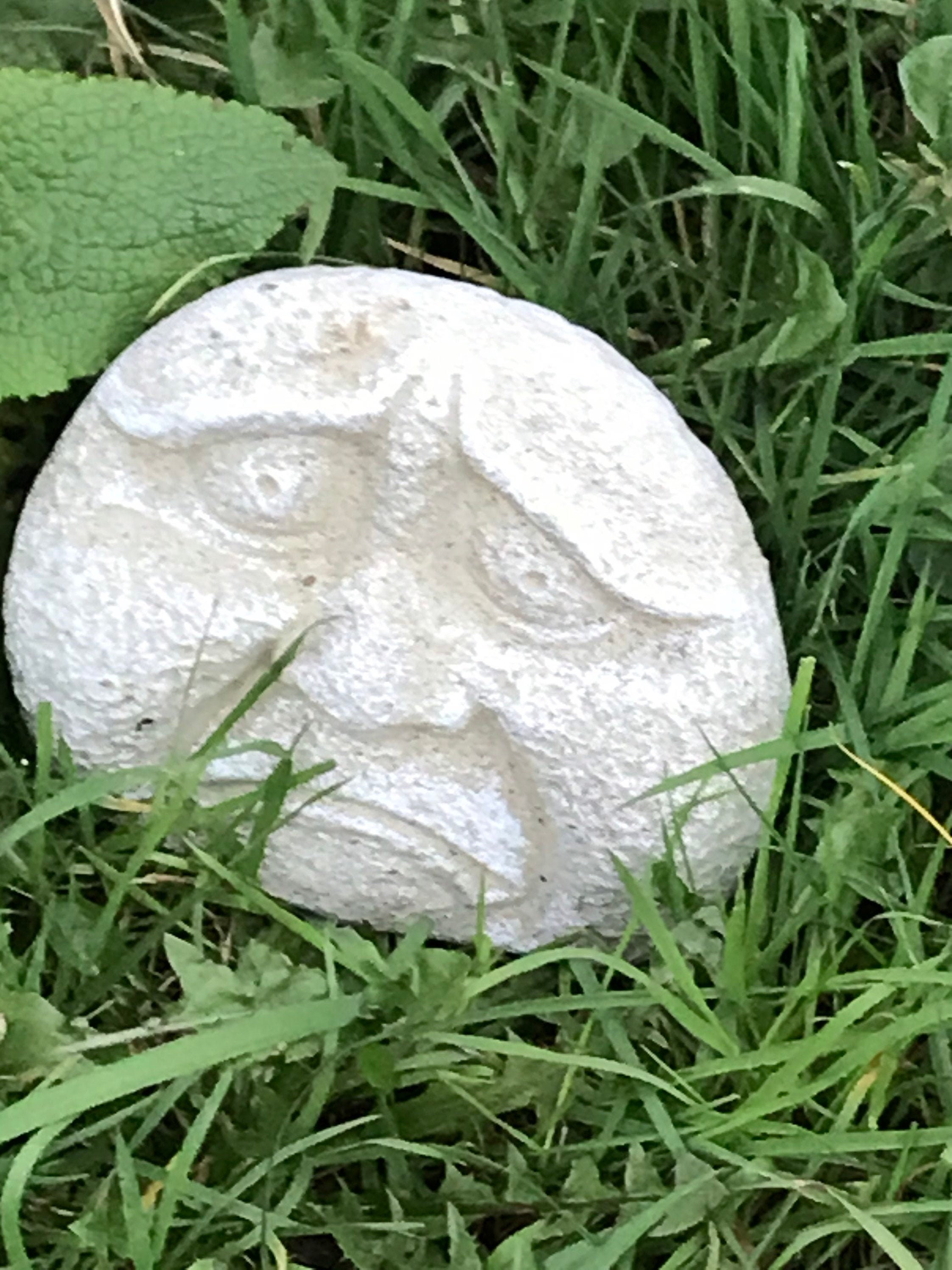 Latex Mould to Make a Stoney Face Rock Garden Ornament Mold - Etsy