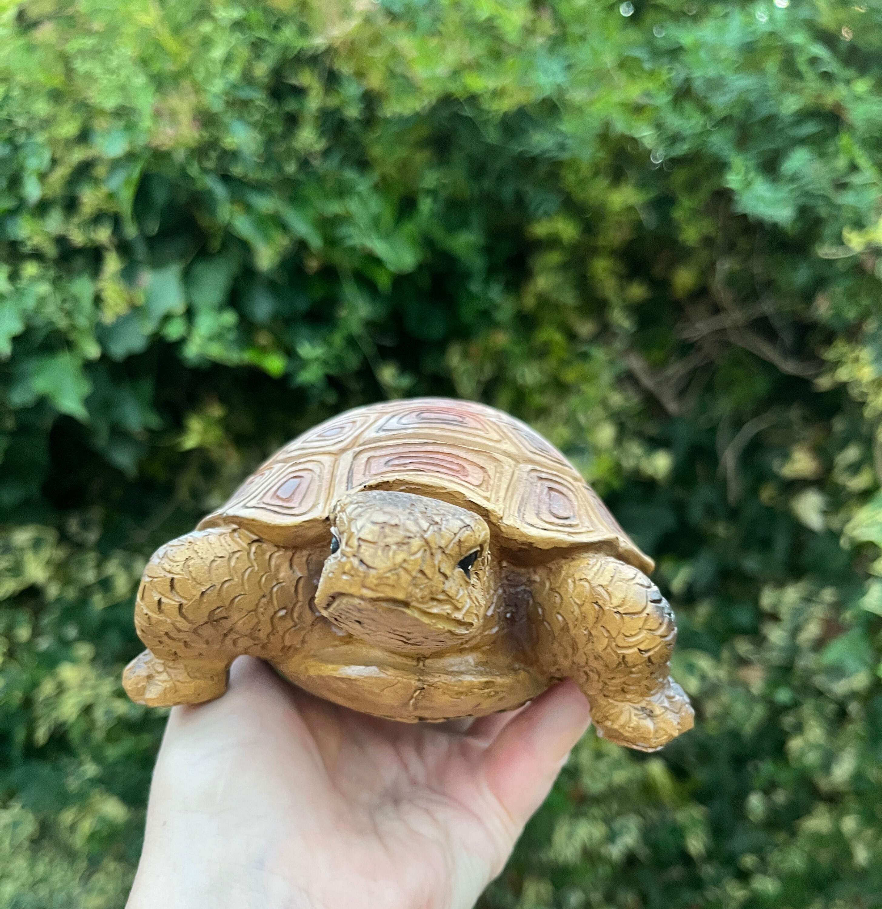 Tortoise Latex Mould for Plaster or Concrete Garden or Home - Etsy