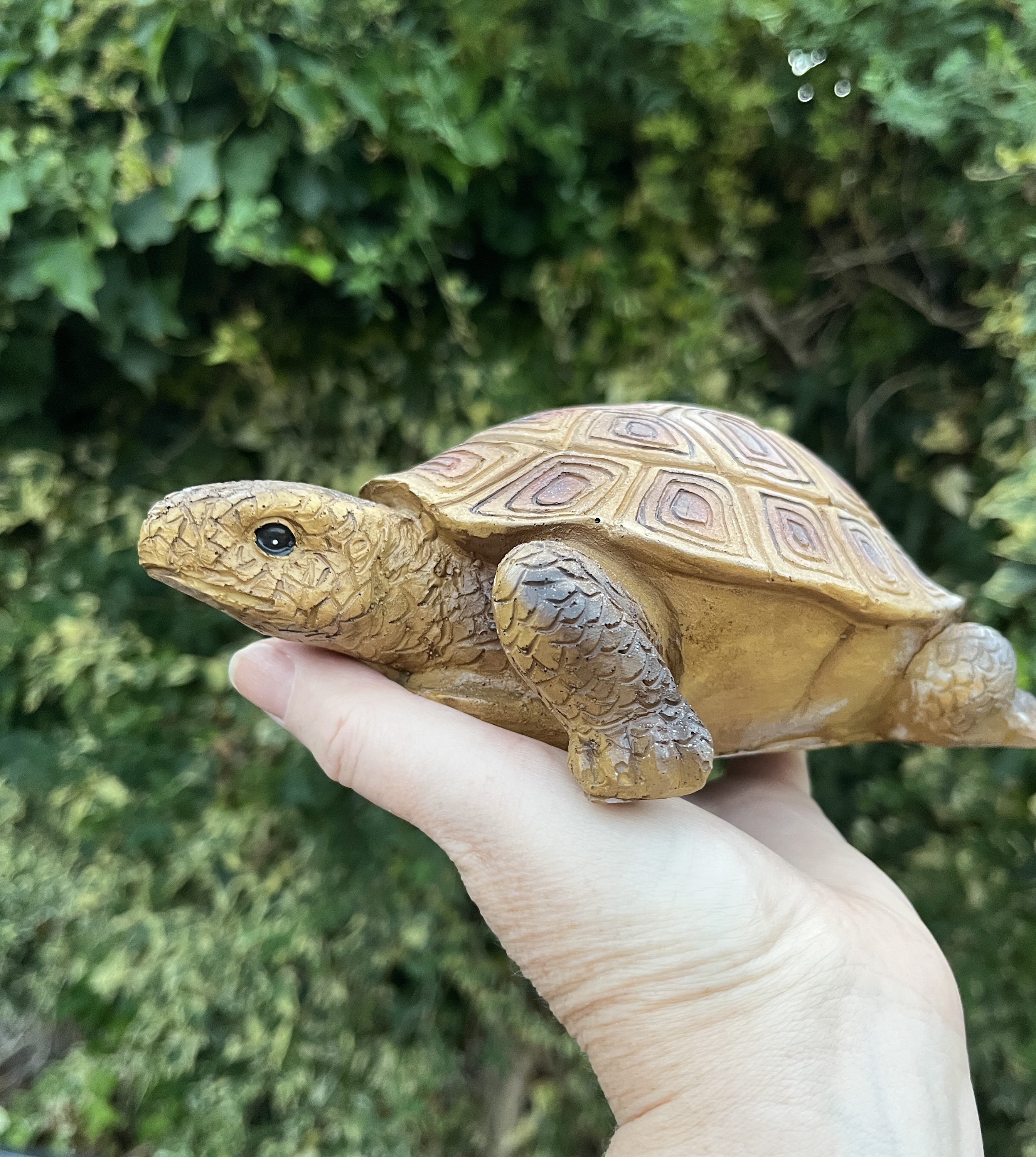 Tortoise Latex Mould for Plaster or Concrete Garden or Home - Etsy