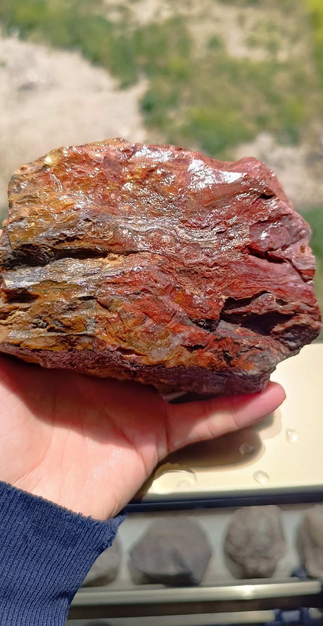 Petrified Wood,colla Wood,rare Petrified Wood,agate Rare Agate Geode ...