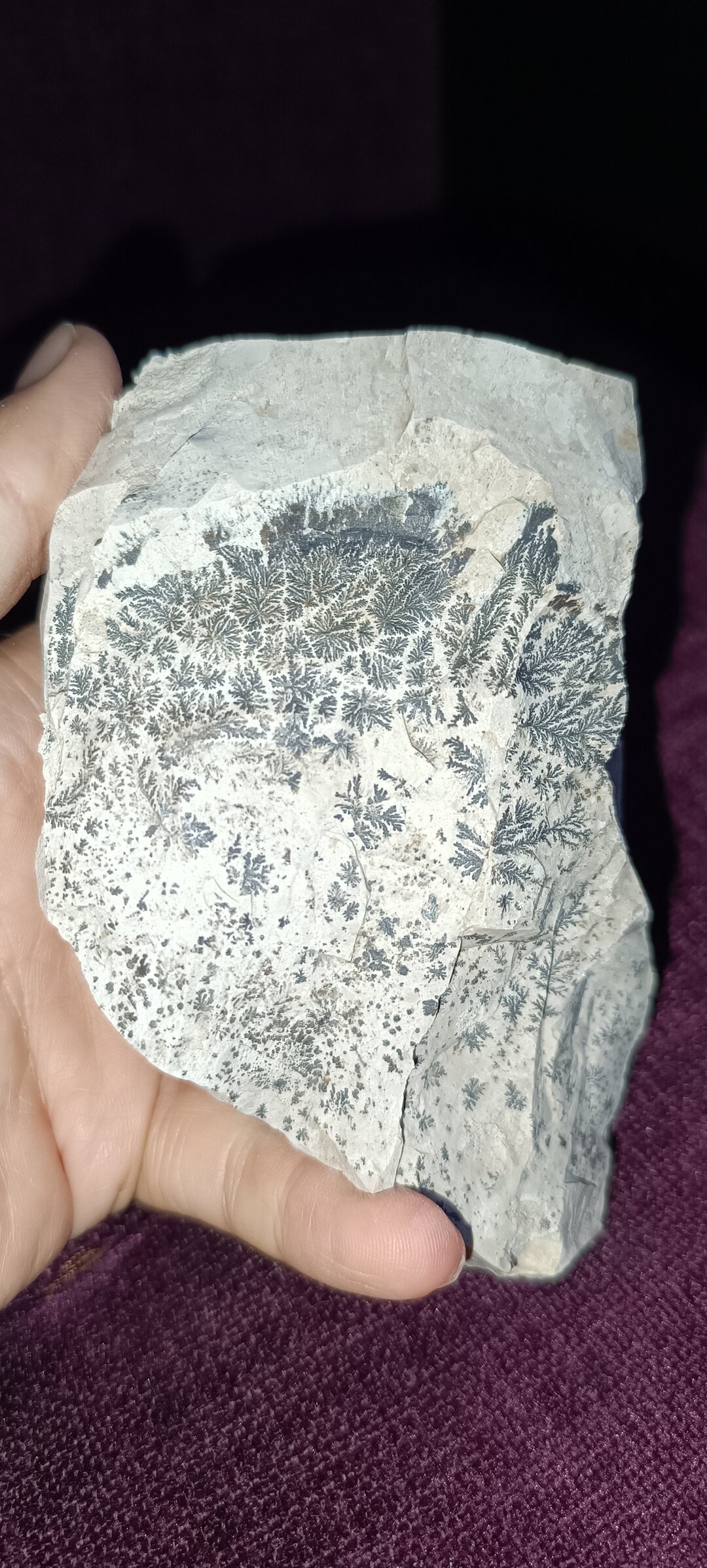 Rare Dendritic Rock, Natural Stone Mineral Dendrite Psilomelan Moss ...