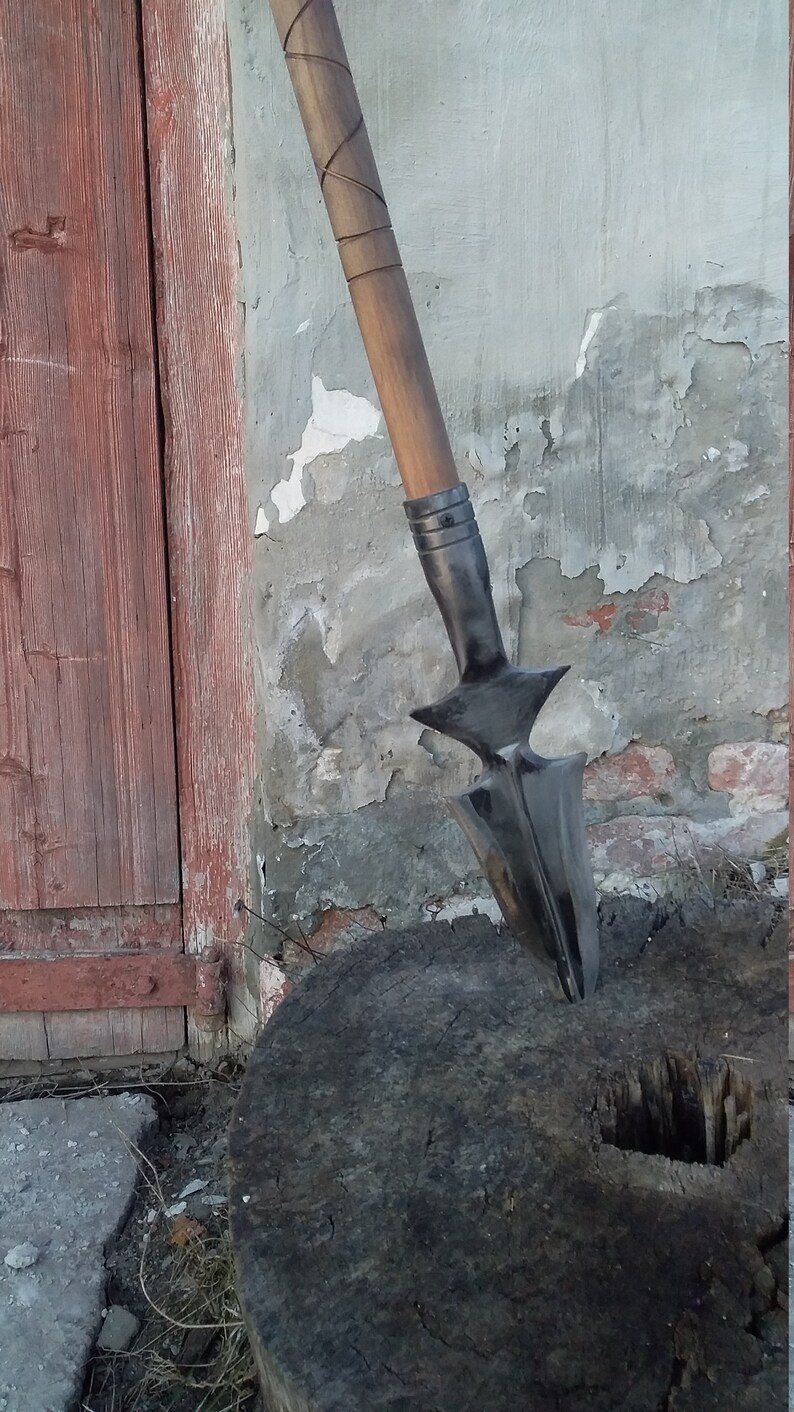 Spear Shark Tooth - Etsy