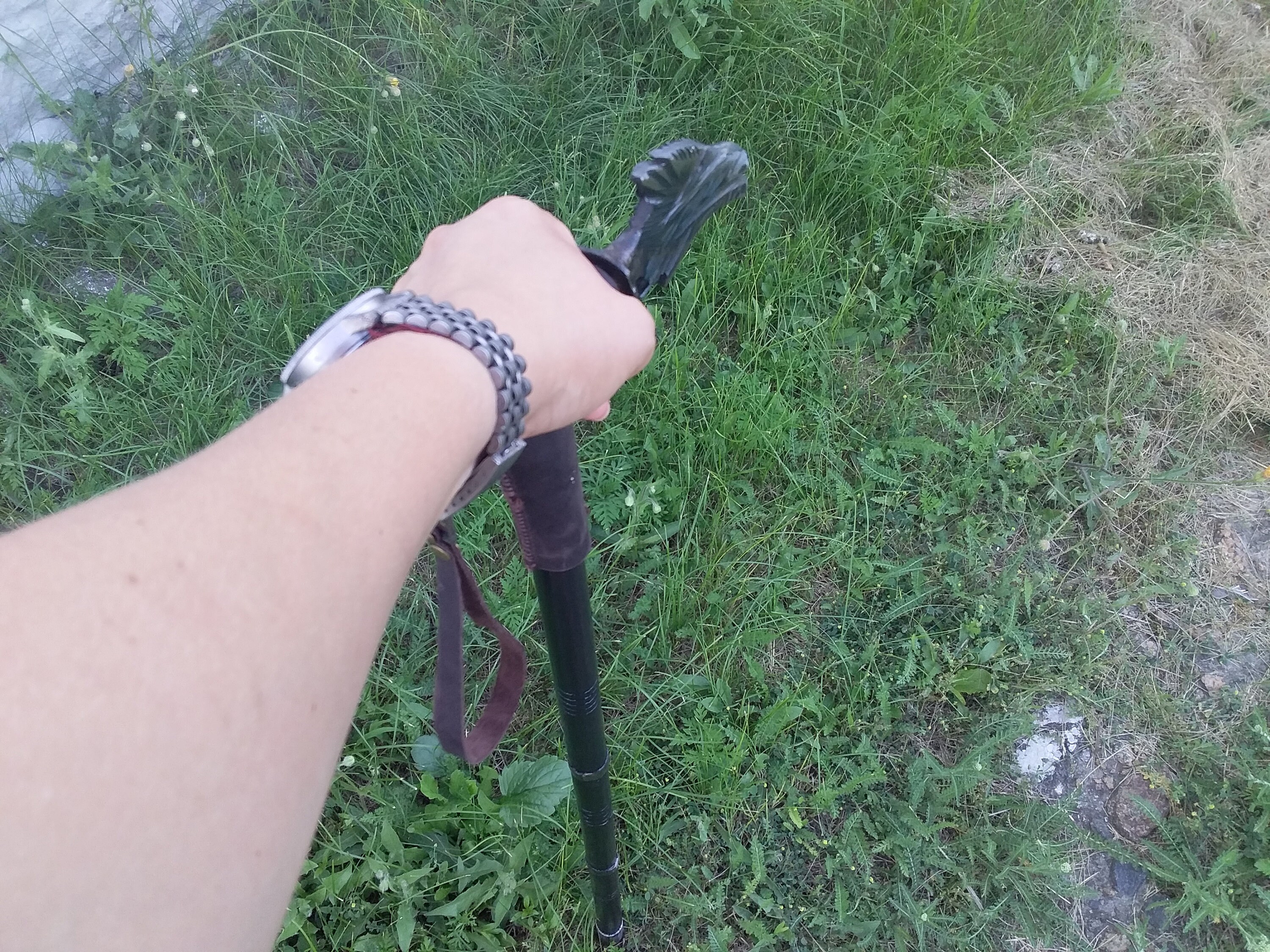 Walking Stick Dragon - Etsy