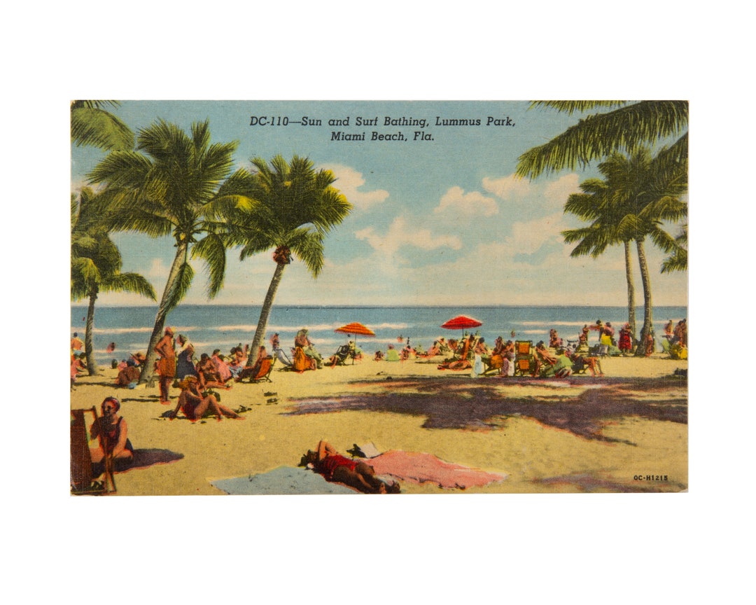 Vintage Florida Postcard, Miami Beach, Lummus Park - Etsy