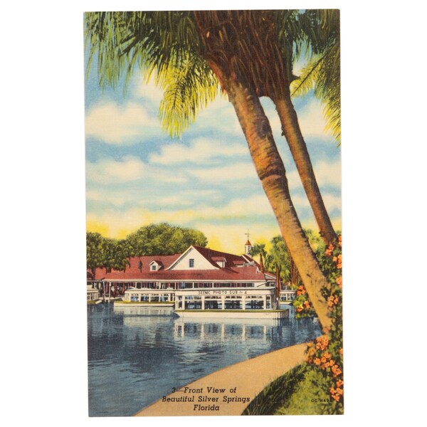 Florida Postcard - Etsy