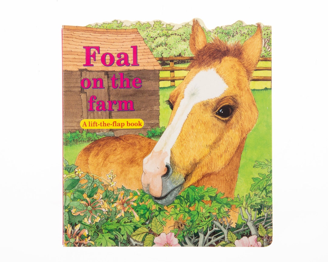 Kids Book, Foal on the Farm, Pop up Book - Etsy