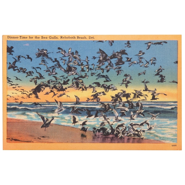 Ocean City Postcard - Etsy