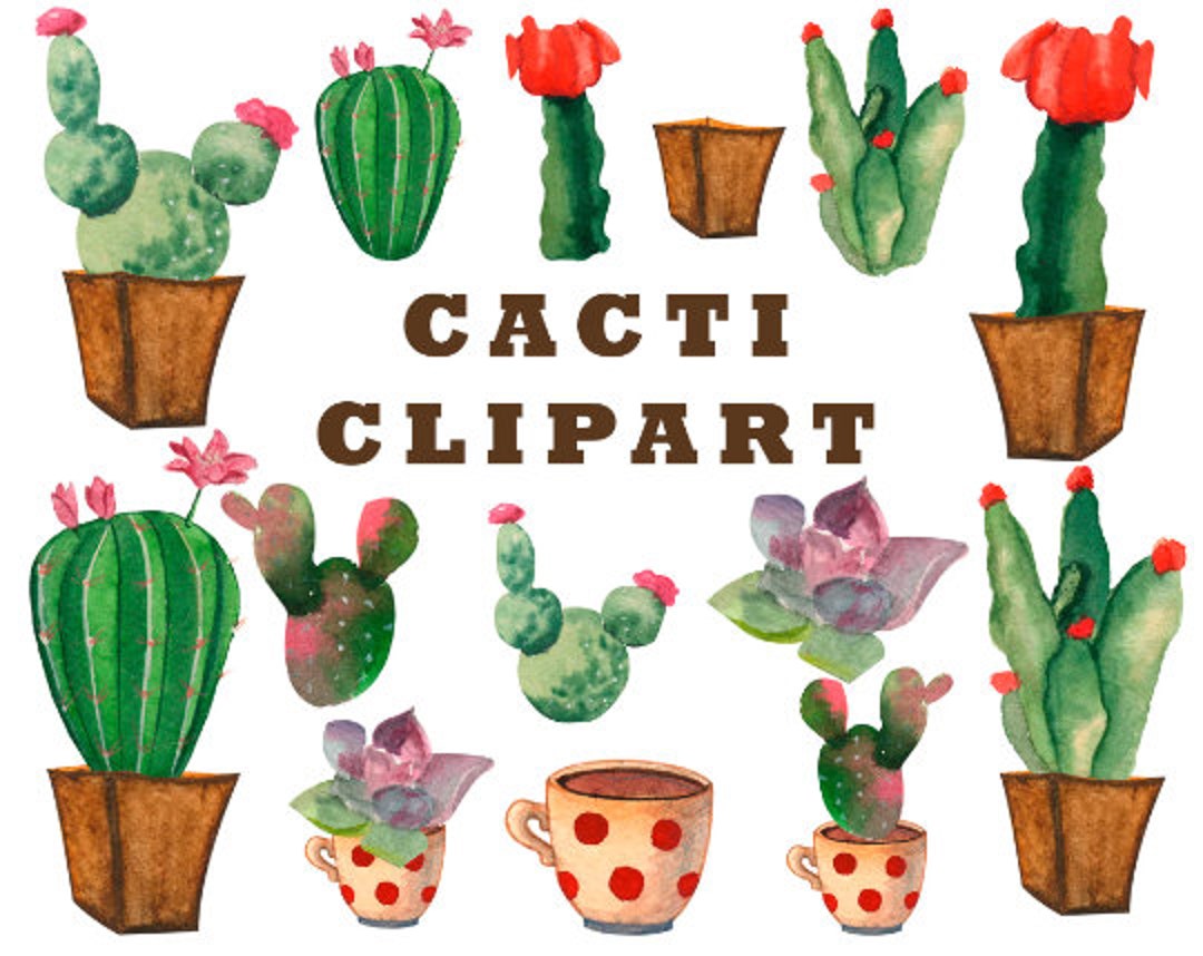 Succulent Clipart Bundle With Watercolor Flowers Instant Download ...