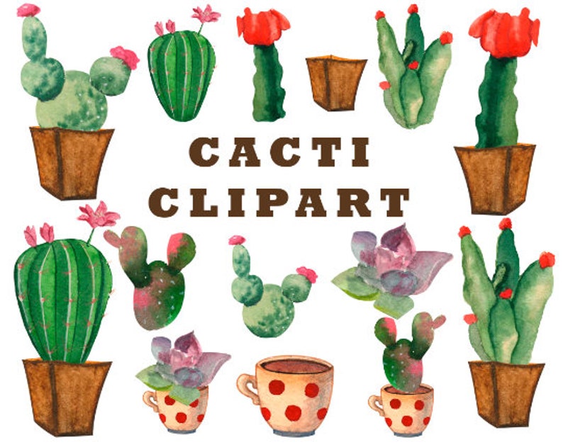 Succulent Clipart Bundle With Watercolor Flowers Instant Download ...