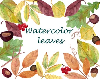 Autumn Leaves Watercolor Clipart Fall Leaf Clip Art - Etsy