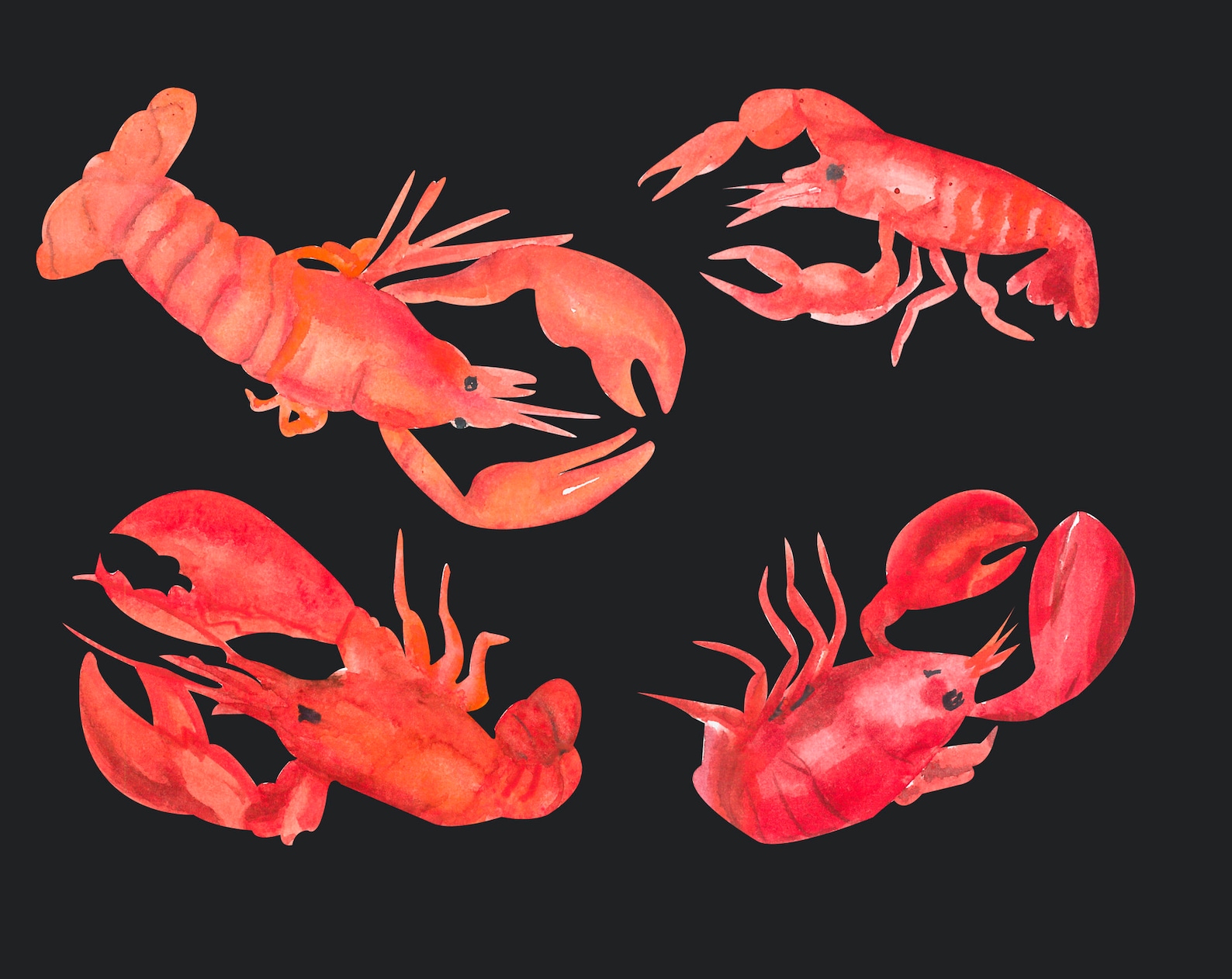 Lobster Food Clip Art Under the Sea Watercolor Clip Art - Etsy