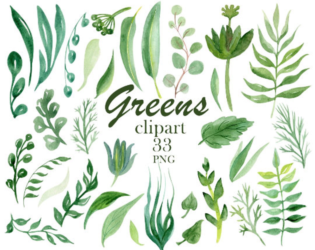 Watercolor Greenery Clipart Set - Leaf Clip Art Collection - Etsy