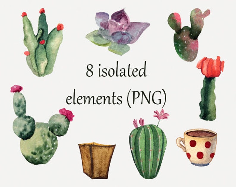 Succulent Clipart Bundle With Watercolor Flowers Instant Download ...