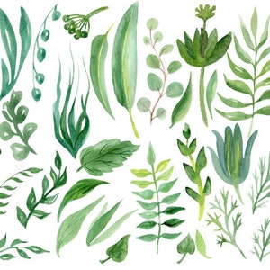 Watercolor Greenery Clipart Set - Leaf Clip Art Collection - Etsy