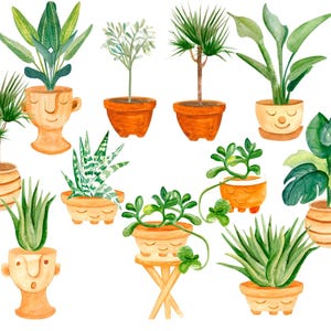 Watercolor House Plants Clipart Bundle for Boho Home Decor Digital ...