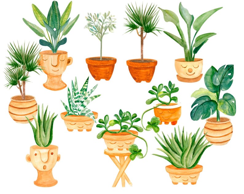 Watercolor House Plants Clipart Bundle for Boho Home Decor Digital ...