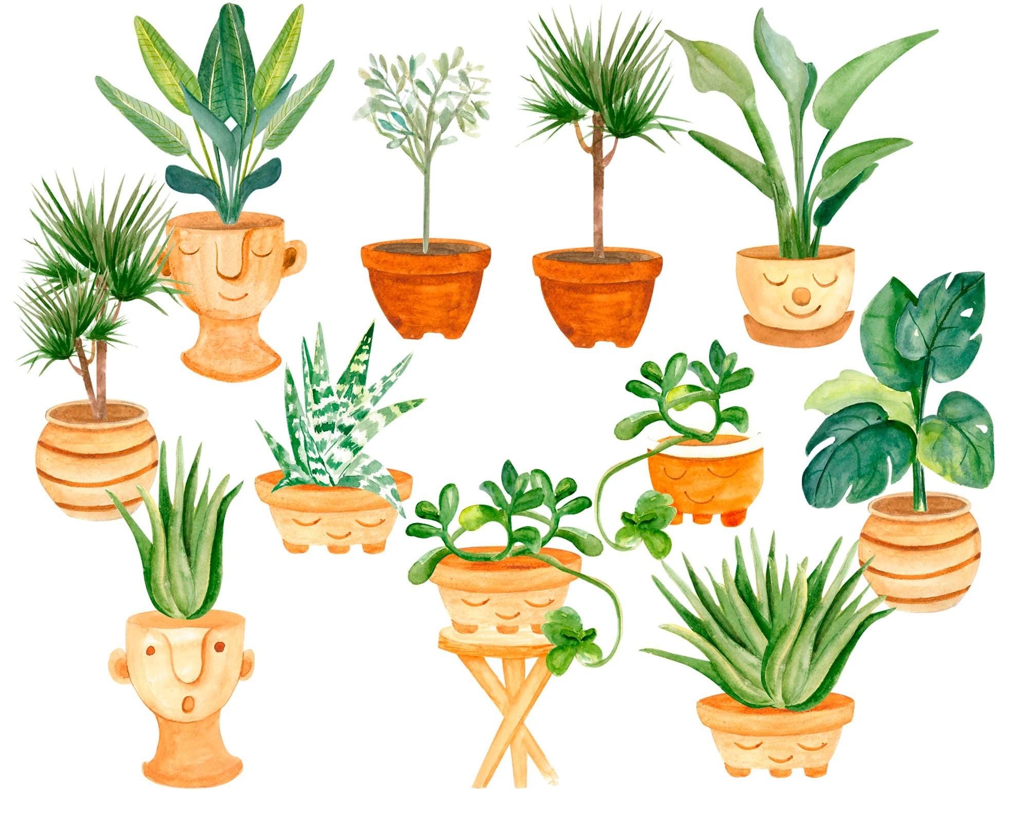 Watercolor House Plants Clipart Bundle for Boho Home Decor Digital ...