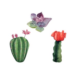 Succulent Clipart Bundle With Watercolor Flowers Instant Download ...