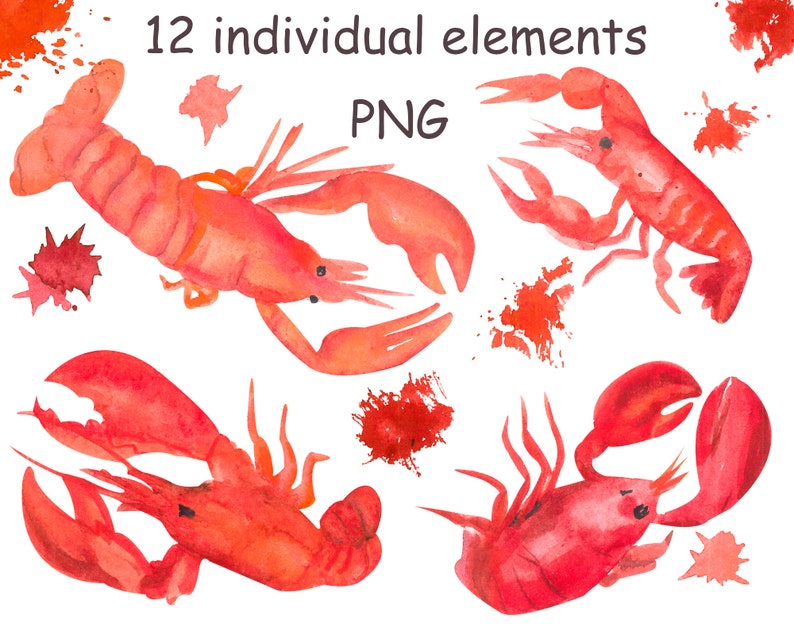 Watercolor Lobster Clipart: Under the Sea Graphics (PNG) - Etsy