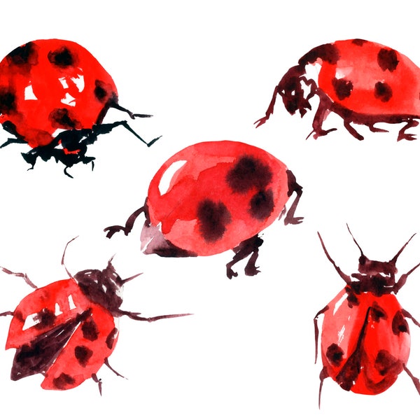 Ladybug Clip Art - Etsy