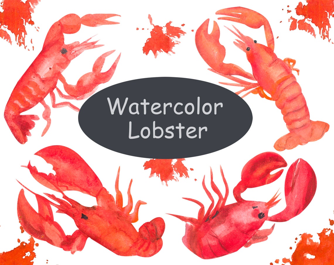 Lobster Food Clip Art Under the Sea Watercolor Clip Art - Etsy