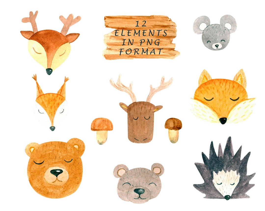 Woodland Animals Watercolor Clipart Set Wild Animal Faces Collection - Etsy