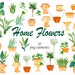 Watercolor House Plants Clipart Bundle for Boho Home Decor Digital ...
