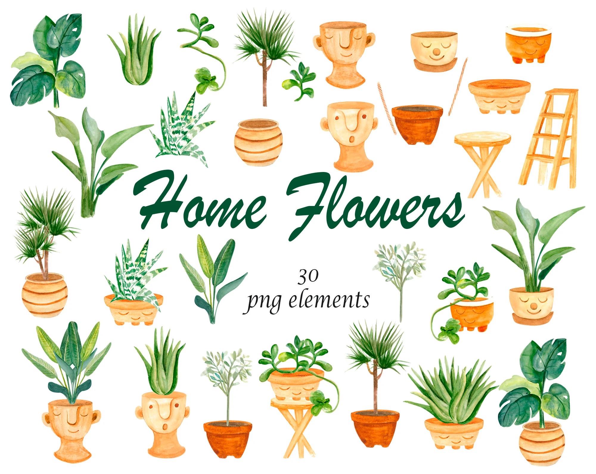 Watercolor House Plants Clipart Bundle for Boho Home Decor Digital ...