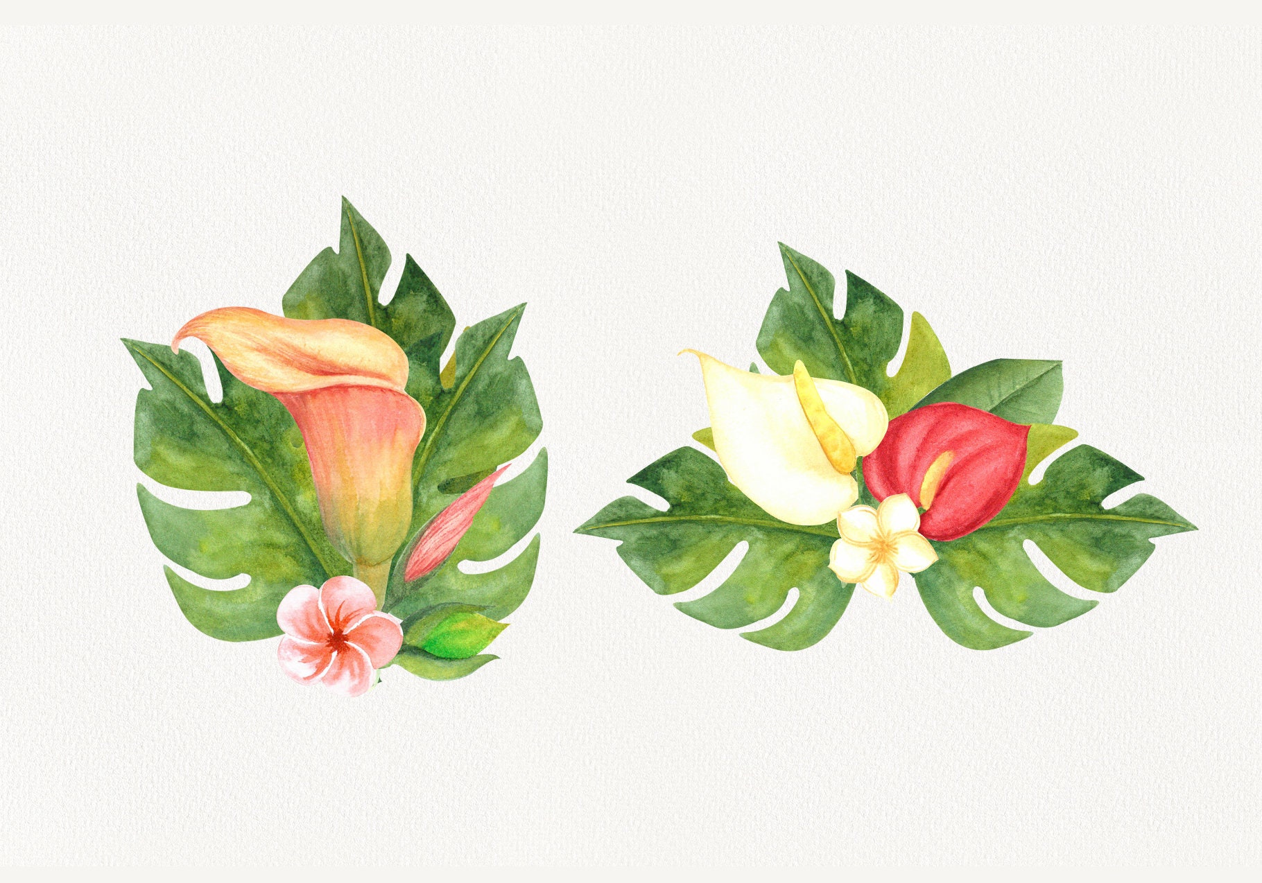 Tropical Plants. Watercolor Flower Clipart . Watercolor - Etsy