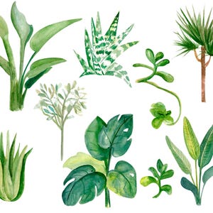 Watercolor House Plants Clipart Bundle for Boho Home Decor Digital ...