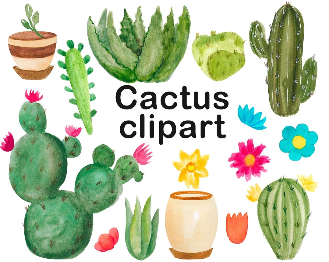 Watercolor Succulent Clipart Set Floral Botanical House Plants Digital ...