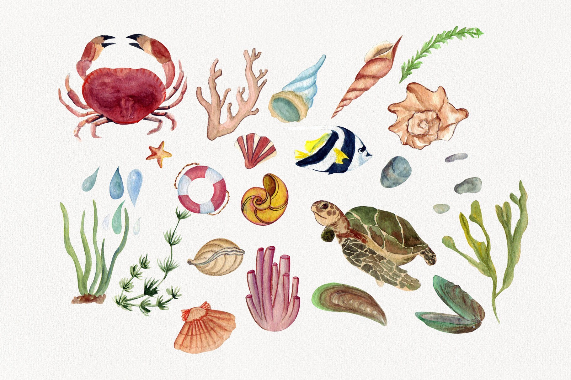 Life in the Ocean Clipart. Watercolor Clipart. Shell Seaweed. Fish Sea ...