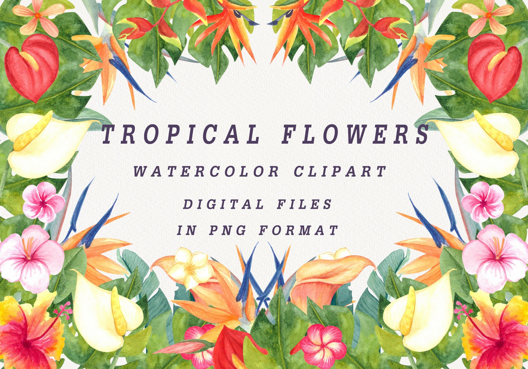 Tropical Plants. Watercolor Flower Clipart . Watercolor - Etsy