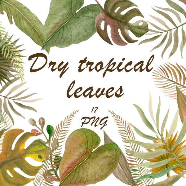 Pressed Tropical Flowers - Etsy